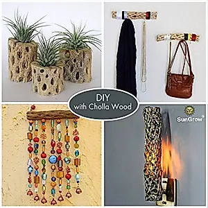 SunGrow Cholla Wood, 5” Climbing Logs, Chew Toy, Aquarium Fish, Snail & Shrimp Driftwood, Décor Adds Raw Beauty, 3 Pack