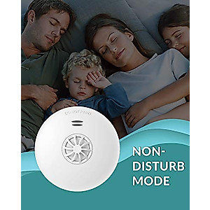 Ecoey Fire Alarms Smoke Detectors, 10-Year Smoke and Heat Detector with Built-in Battery for Home Bedroom, Smoke Detector and Heat Alarm with Easy Install and Test Button, FJ192, 2 Packs