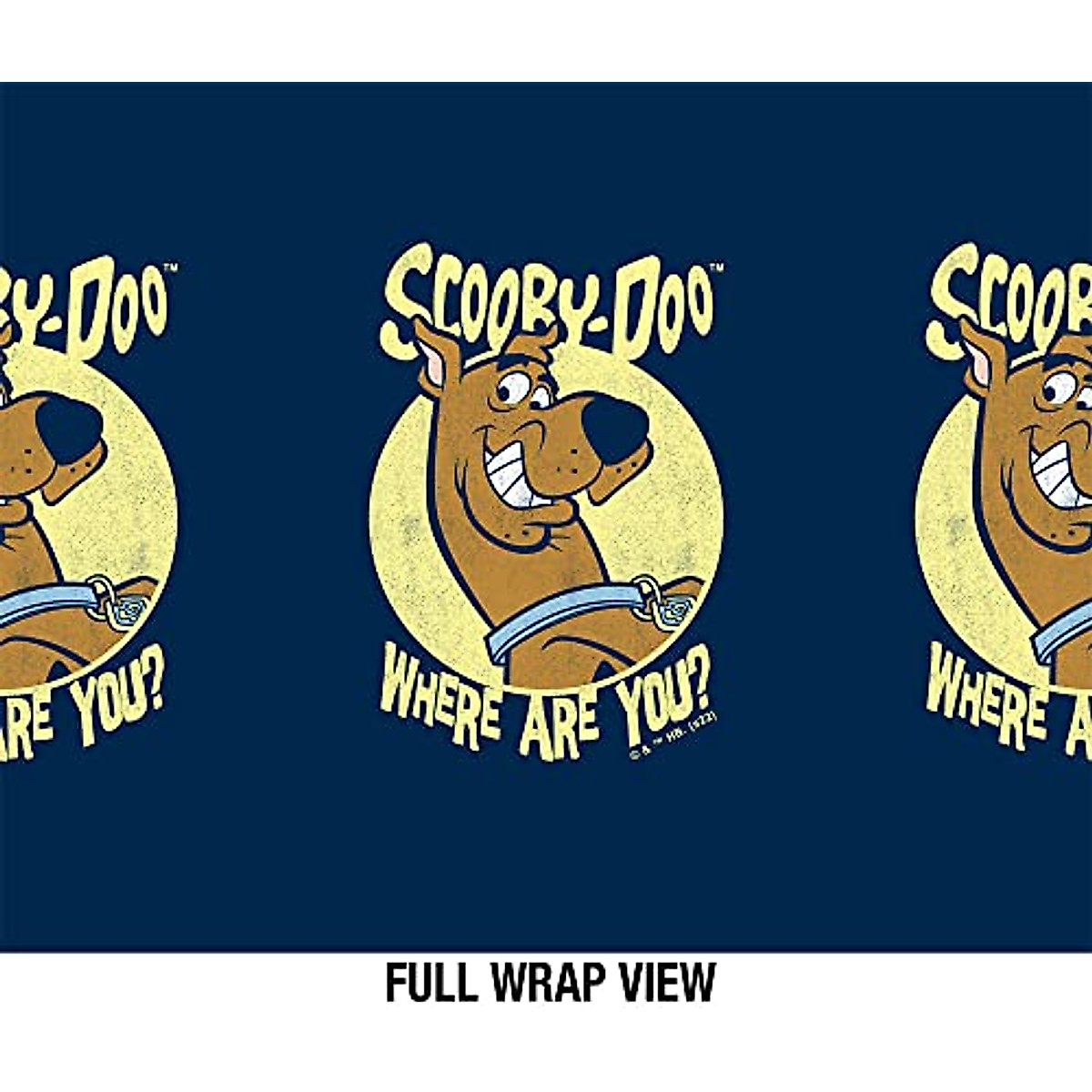 Scooby Doo! OFFICIAL Where Are You 24 oz Insulated Canteen Water Bottle, Leak Resistant, Vacuum Insulated Stainless Steel with Loop Cap