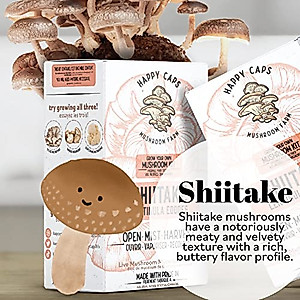 Grow Your Own Organic Mushroom Kit - Shiitake - Indoor Growing Kit by Happy Caps Mushroom Farm