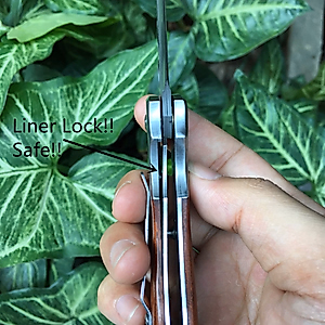 ALBATROSS HGDK007 EDC Sharp Damascus Folding Pocket Knife with Liner Lock-Cote D'Ivoire Sandalwood Handle,Gifts/Collections