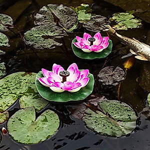 Flantor Solar Power Pump,Water Lily Bird Bath Fountain, Artificial Floating Lotus Flowers Brushless Pumps for Fish Pond Garden Patio Aquarium and Outdoor Pool Decor