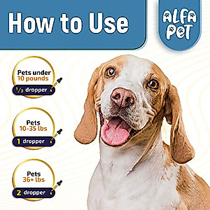 Dog Cough - Kennel Cough - Dog Allergy Relief - Supplements For Dogs & Cats Health - Allergy Relief Immune Supplement for Dogs - for Dry, Wet & Barkly Pet Cough - Suitable For All Sizes