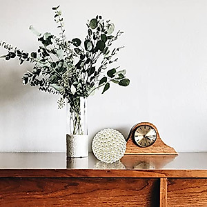 Galt International Decorative Pearl Covered Ball Orbs Bowl Filler Vases & Baskets 3.8” Diameter Set of 3 Vase Bowl Tray Filler Decor Orbs Dining Table Coffeetable Centerpiece Spheres