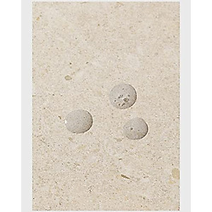 The Body Shop Seaweed Oil-Balancing Toner, 100% Vegan Facial Toner, 8.4 Fl. Oz.