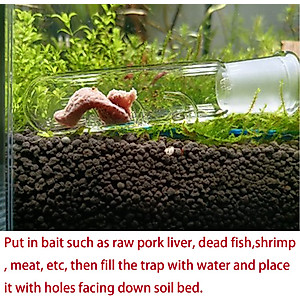 2 pcs Glass 2 Pieces Planaria Trap 3-Holes Glass Snail Catcher For Aquarium Cherry Shrimp Crystal Red Shrimp Dwarf Shrimp Trap