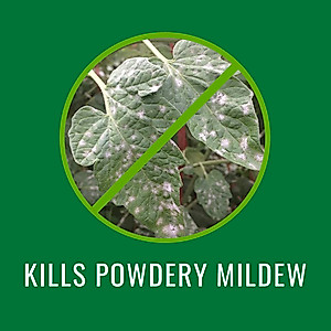 Natria Tomato, Vegetable & Fruit Insect Control, Ready-to-Use, 24 oz