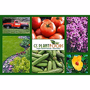 20-20-20 Plant Fertilizer by GS Plant Foods- All Purpose Water Soluble Plant Food with Kelp & Micronutrients (3 Pounds) - Suitable for All Plants, Turf, Indoor & Outdoor Plants