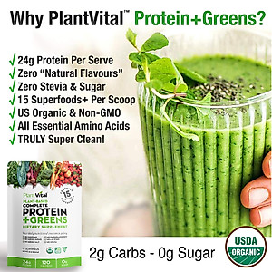 Plantvital Unflavored Organic Vegan Protein Powder - 15 Superfoods, Veggies and Probiotics - Organic Plant-Based Protein Powder - All BCAA’s, Gluten Free - 16oz -1 Pouch