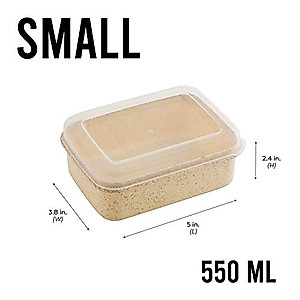 Simplify 6 Piece Set Eco Wheat Plastic Food Storage Containers | Clear Lid | Meal Prep | Leftovers | Kitchen | Lunch | Natural | Rectangular | 3 Sizes