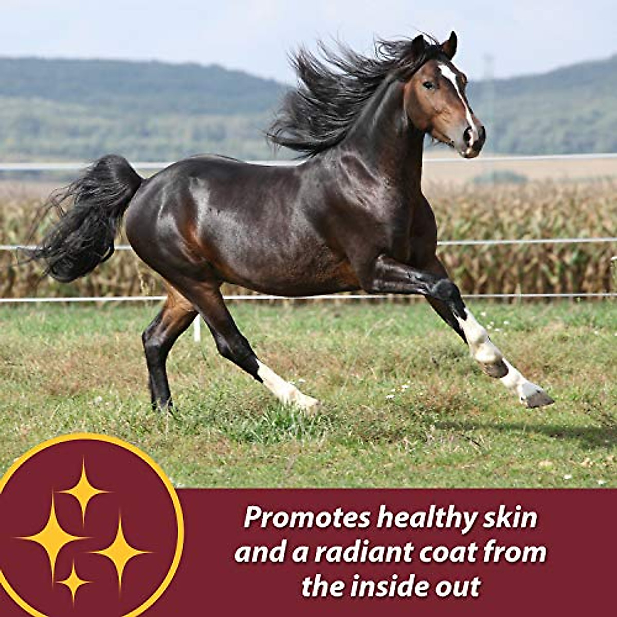 Farnam Laser Sheen Skin & Coat Supplement for Horses, Promotes Healthy Skin & Radiant Coat from The Inside Out, 7.5 Pound, 60 Day Supply