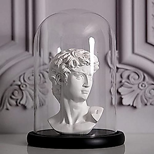 ZOOFOX Set of 2 Glass Dome Cloche with Black Wooden Base, 6" x 7" Decorative Bell Jar Display Dome for Plants, Fairy Lights, Photos, Succulents and Medals