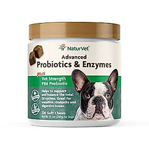 Veterinarian Strength Advanced Probiotics, Healthy Enzymes and PB6 Probiotic Supplement For Your Dogs Stomach, Intestine, Digestion and GI Tract health, Made by NaturVet, 120 Soft Chews