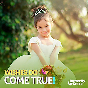 Butterfly Craze Princess Crown Comb Mini Tiara for Kids - Ideal for Wedding Entourage like Flower Girls, Add a Touch of Royalty to Your Child's Birthday Party, Perfect for Dress Up, Pretend Play