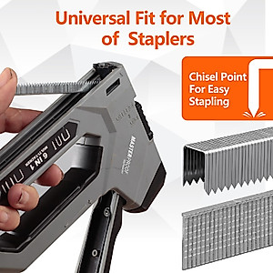 SITLDY Heavy Duty T50 Staples 5400-Count 5 Sizes Includes: 5/16",3/8",1/2",9/16" Staples+5/8" Brad Nails, 20 Gauge Galvanized Assorted Size Project Pack