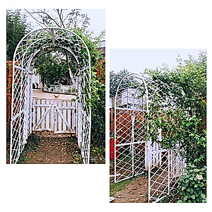Outdoor Steel Rose Arch Iron Arbor Arch,Heavy Duty Metal Garden Arch, for Various Climbing Plant Outdoor Garden Lawn Backyard (Black)