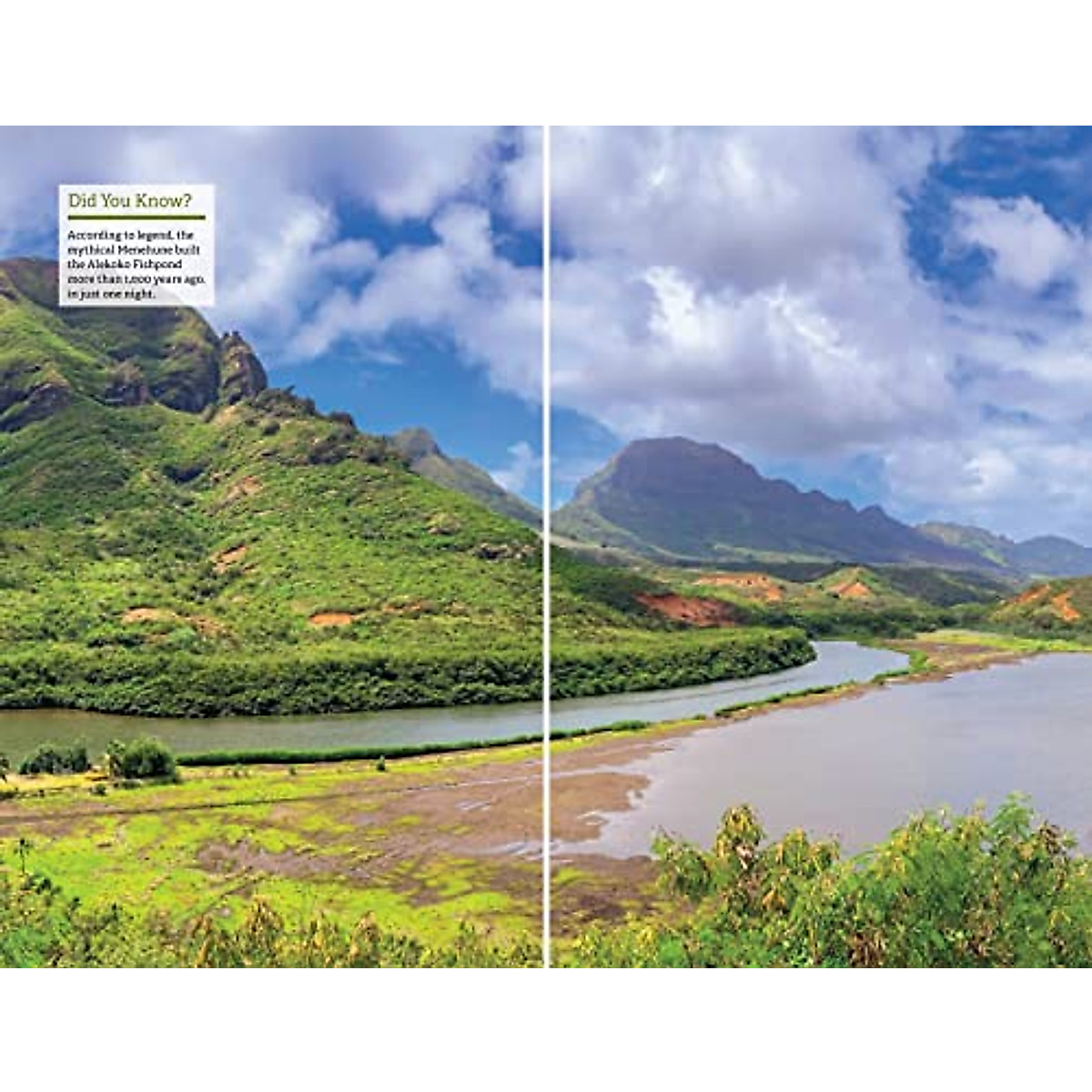 Fodor's Essential Hawaii (Full-color Travel Guide)