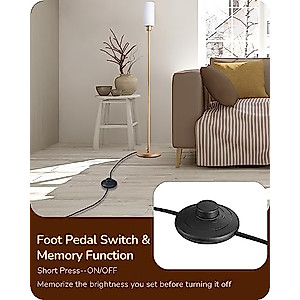 EDISHINE LED Corner Floor Lamp with Glass Lampshade, Modern Dimmable Lamp with Remote, 5 CCT, 65" Tall Standing Light for Living Room, Bedroom, Office, Bulb Included (Gold)