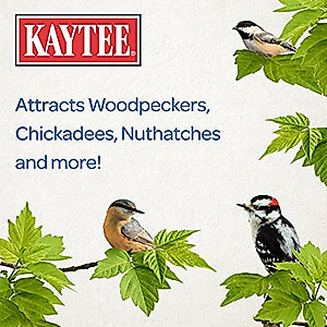 Kaytee Wild Bird Woodpecker Seed Cake Food, 1.85 Pounds