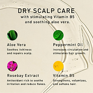 Hawthorne Mens Dry Scalp Shampoo to Relieve and Soothe Itchy, Flaky, and Dry Scalp with Pure Peppermint Oil and Aloe Vera, For Dandruff Control, Sulfate Free, Paraben Free, 8oz