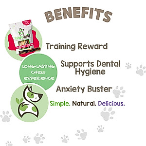 Nature Gnaws Braided Pork Bully Sticks for Dogs 5-6" (20 Count) - Long Lasting for Small and Medium Dogs - Natural Bacon Dog Chew Treats - Rawhide Free