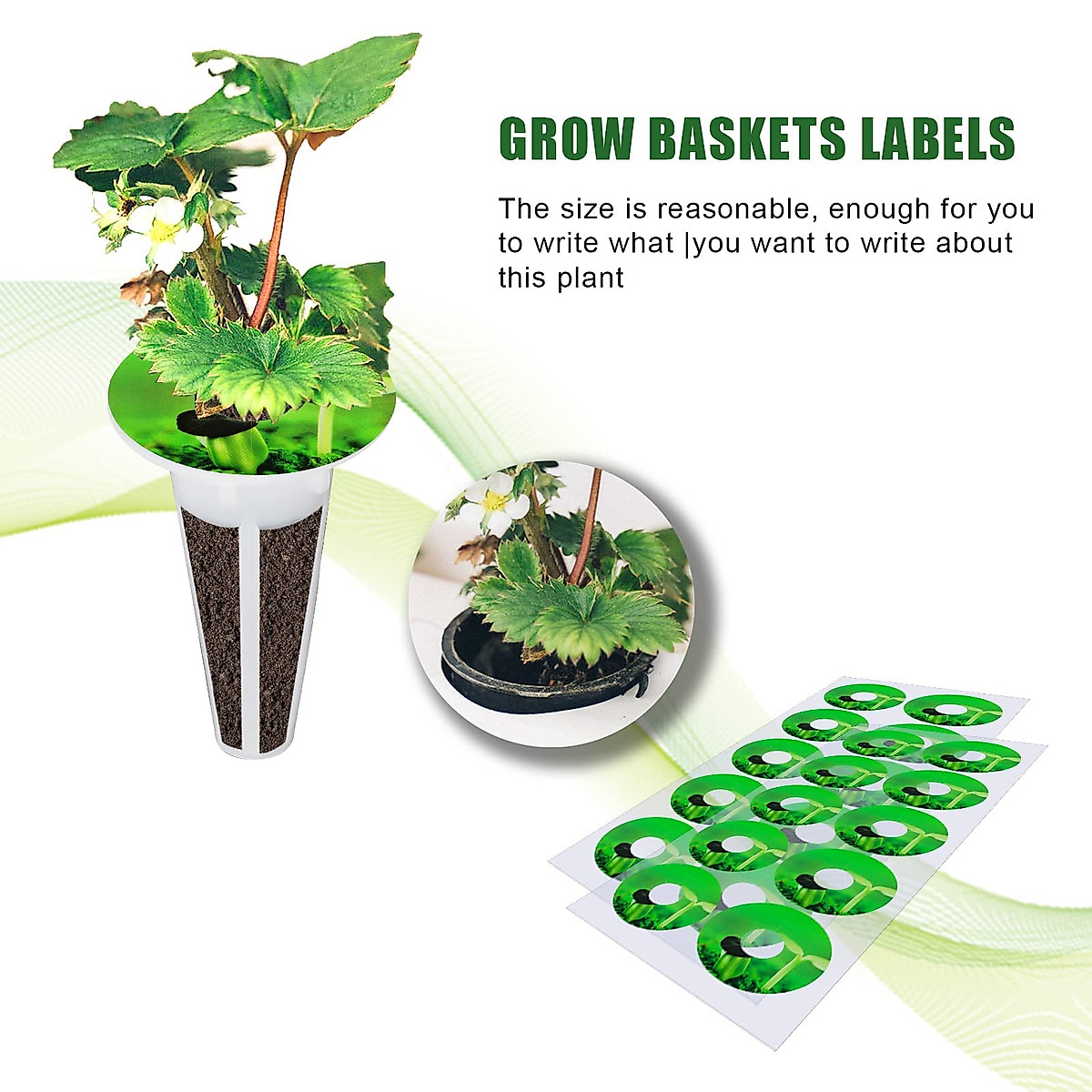 120 PCS Plant Grow Stickers, Grow Baskets Labels, Hydroponic Plant Label for Seedlings Garden Pods Plant Labels for Labeling Plants and Understanding Plant Growth