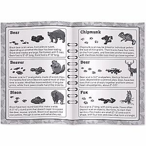 Masterpieces Jr Ranger Poop Tracks Card Game, Ages 6+, 2-6 Players, Medium