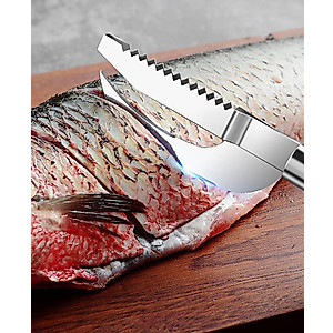 Fish Scale Knife Cut/Scrape/Dig 3-In-1, Fish Scale Knife, Fish Scaler Remover, 3-In-1 Fish Scaler Remover Cutter, Stainless Steel Fish Scale Remover, Stainless Steel 3 In 1 Fish Maw Knife (one)