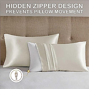 HYDE LANE 25 Momme 100% Pure Mulberry Silk Pillowcase for Hair and Skin with Hidden Zipper, Both Side Grade 6A Silk, Luxury Smooth and Soft,Real Silk Pillow Case, 1pc Queen 20''x30'',Ivory White
