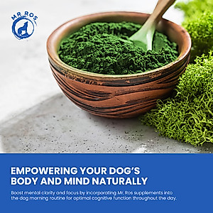 Mr. Ros Marine Phytoplankton: Supercharge Your Dog's Health (2.12 oz / 60 g). Essential Nutrients for Shiny Coat, Strong Joints & Overall Wellbeing