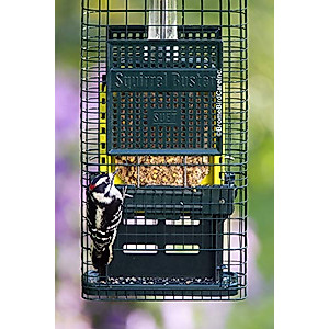 Squirrel Buster Suet Squirrel-proof Suet Bird Feeder w/2 Suet Cake Trays, 2 Crumb Ports, Mess-free Suet Loading,Green