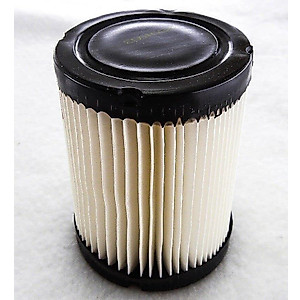 LEFITPA Replacement 5429K 796032 591583 591383 5429K Air Filter for Briggs & Stratton PP591583 for Stens 102-016