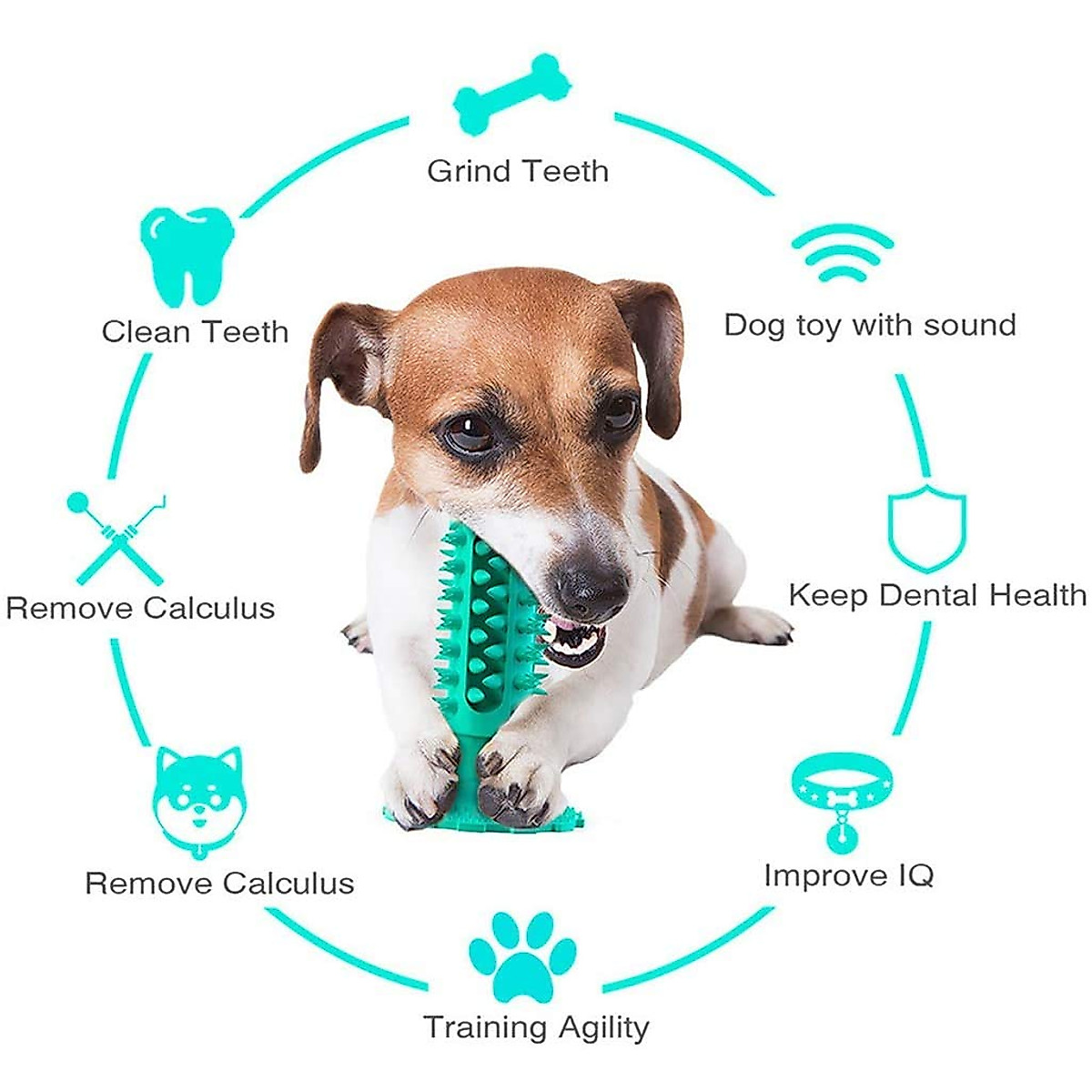 Erichome Dog Toothbrush Chew Toy - Puppy Dog Teeth Cleaning Stick - Natural Rubber Dental Toothbrush Toys for Dog,2PC with Finger Toothbrush (Squeak)