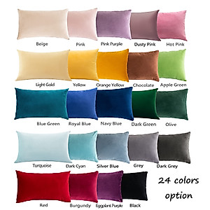 Stellhome Pack of 2 Super Soft Throw Pillow Covers Rectangle Solid Velvet Pillowcase for Bed Couch Sofa Bench, 12 x 20 inch (30 x 50 cm), Beige