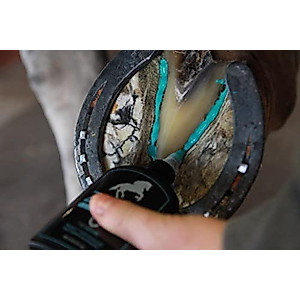 Therazure Zomp Liquid Hoof Thrush and White Line Treatment for Horses: Effective for Thrush Relief and Prevention on All Hooved Animals