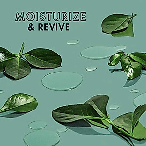 SheaMoisture 2in1 Conditioner and Detangler Leave-In Conditioner for Wig Tea Tree and Borage Seed Oil Paraben Free Conditioner 8 oz