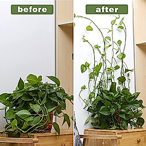 henvkoli Plant Clips,Vine Clips for Climbing Plants,100Pcs Wall Plants Climber,Plant Clips for Climbing Plants Self-Adhesive Plant Clips Fixing Hook Wall Vine Supports Traction Wall Clip