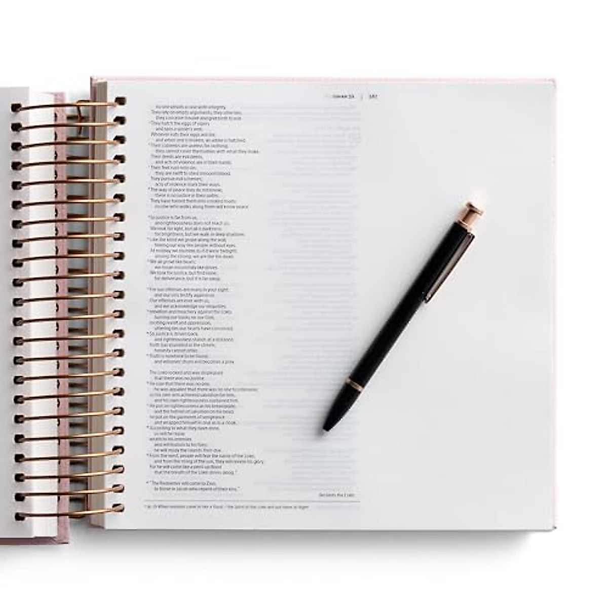 Illustrating Bible NIV - Spiral Bound Bible Journal, Pink