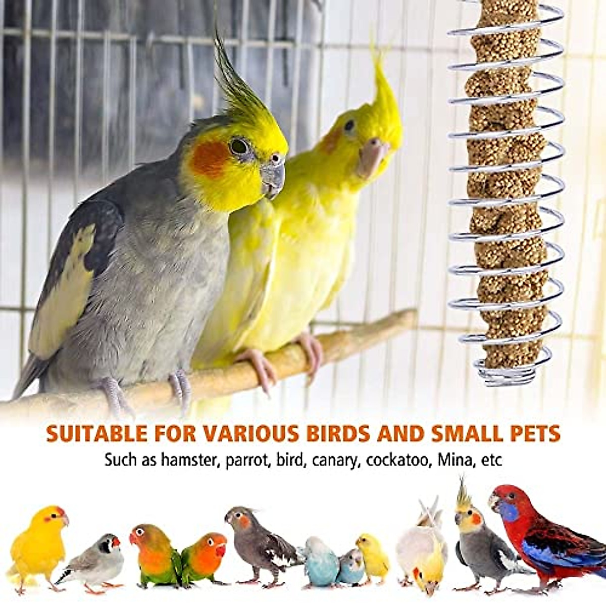 2 PCS Parrot Treat Holder,Stainless Steel Bird Food Skewer Bird Food Holder for Parrot Parakeet Cockatiels