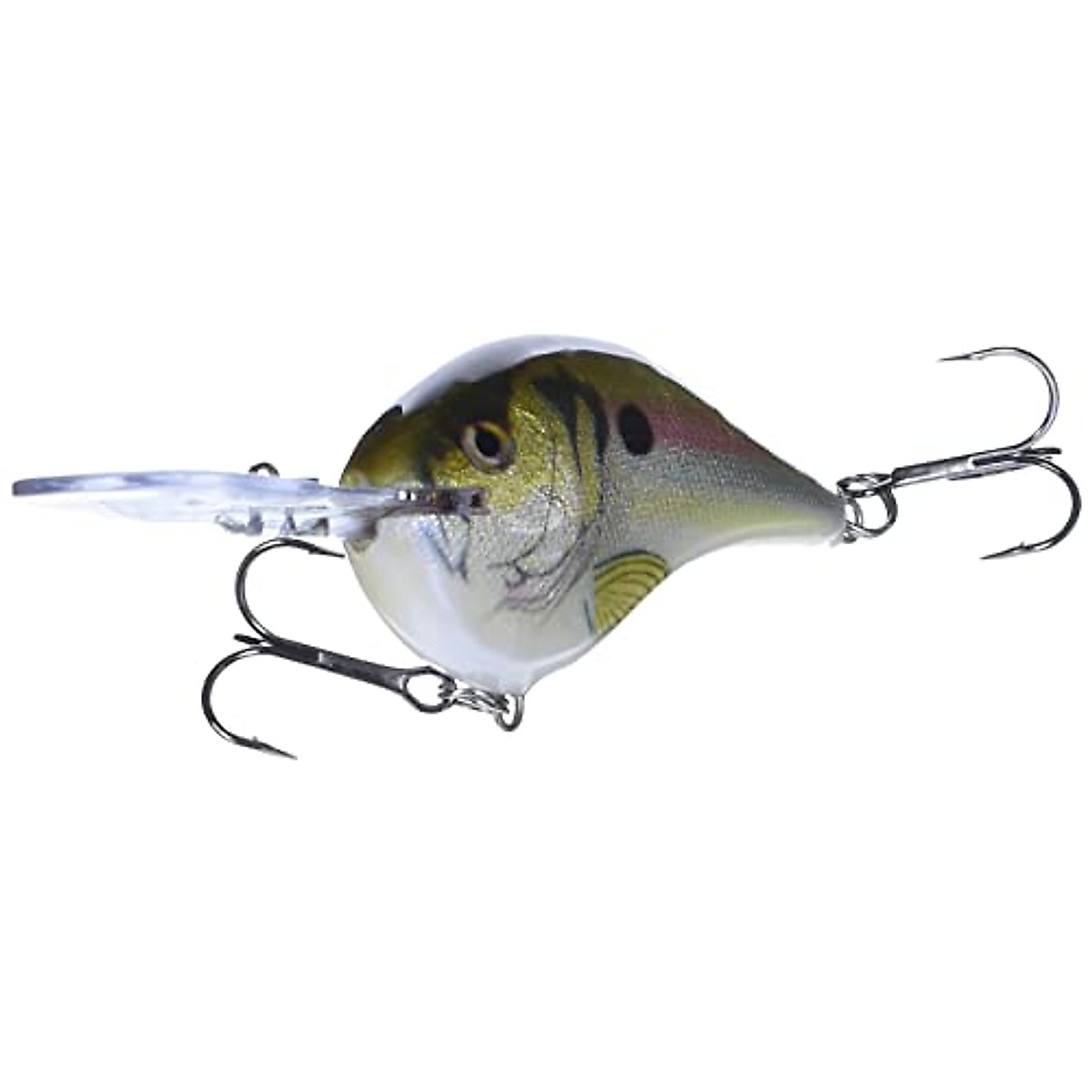 Rapala Dives-to 16 Live DT16RSL: Dives-to 16 Live River Shad, One Size
