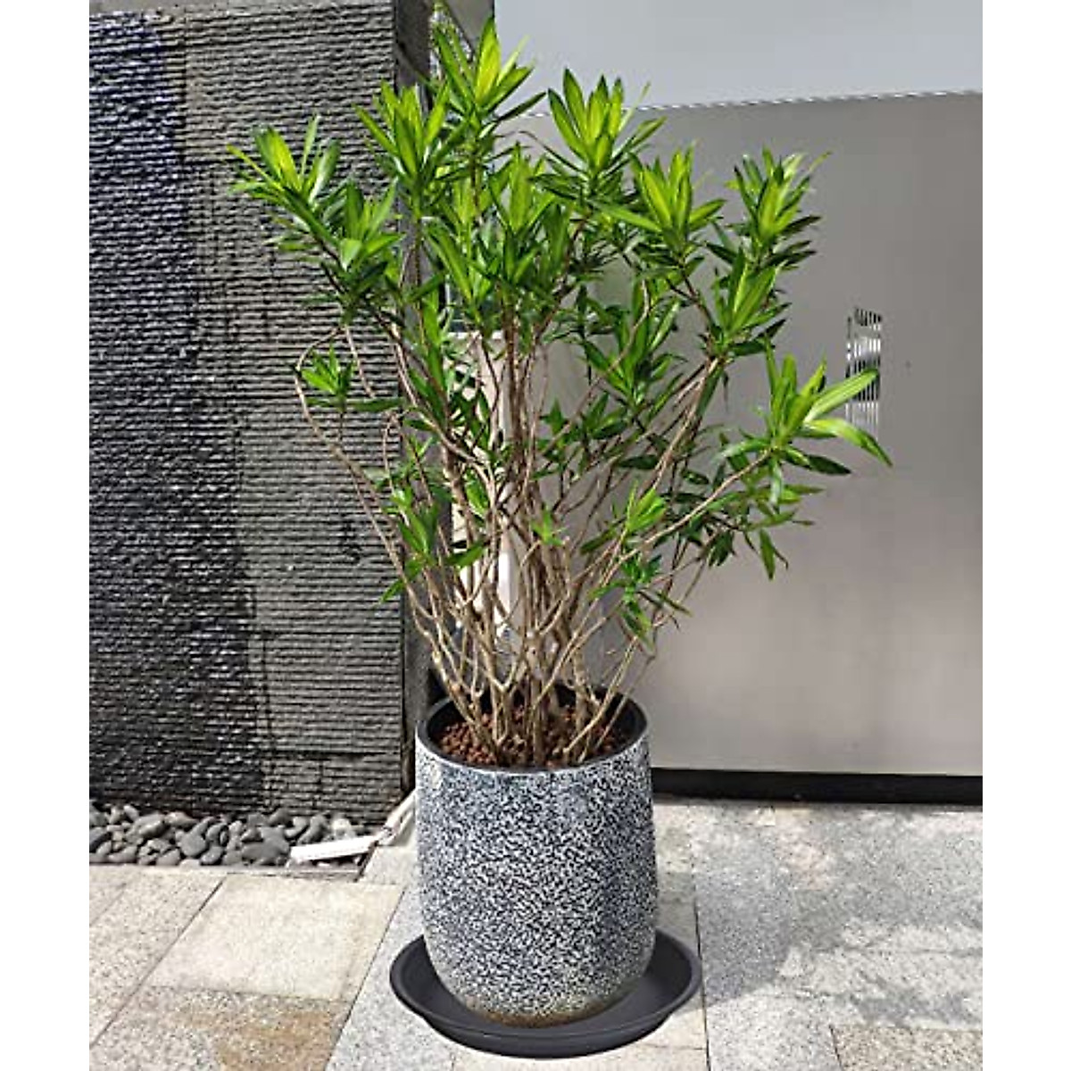 SAUCERHOME Plant Saucer 16 inch, 4 Pack 17 inch (16.8") Plastic Large Flower Planter Plant Pot Saucers and Drip Tray for Indoors Outdoors, Thick Heavy Sturdy Durable Plant Plate Water Catcher (Black)