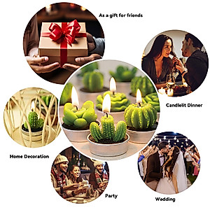 AIXIANG 6 Styles Cactus Tealights Candle Delicate Succulent Tealight Candles for Home Decor New Year Presents, Housewarming Gifts, Housewarming Favors for Guests, Christmas Decorations (6 Pcs)