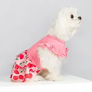 Fitwarm Thanksgiving Sweeter Than Pumpkin Pie Dog Dress 100% Cotton Puppy Costumes Pet Clothes Holiday Girl One-Piece Doggy Outfits Tank Top Vest Dresses Cat Apparel Orange Medium