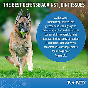 Pet MD Salmon Oil Omega 3 + Advanced Hip & Joint