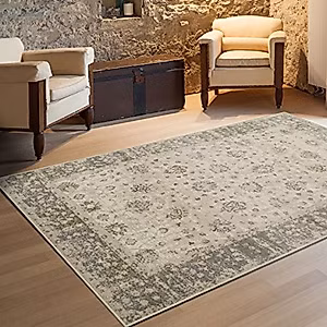 Superior Conventry Collection Area Rug, 8mm Pile Height with Jute Backing, Vintage Distressed Oriental Rug Design, Fashionable and Affordable Woven Rugs - 8' x 10' Rug