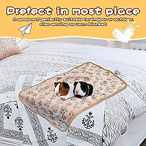 BWOGUE Guinea Pig Blanket, 3 Pack Small Animal Soft Warm Pet Fleece Blankets Sleep Mat Pad Cover Flannel Throw for Hamster Guinea Pig Rabbit Dog Cat Chinchilla Hedgehog