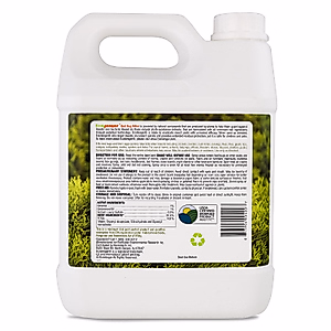 EcoRaider Bed Bug Killer Spray 1 Gallon Jug, Green + Non-Toxic, 100% Kill + Extended Protection