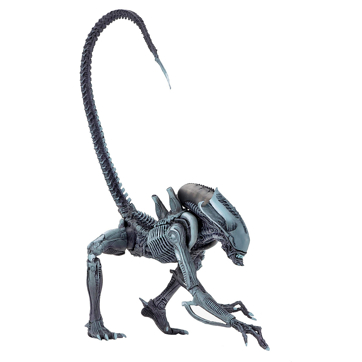 NECA - Aliens vs Predator (Arcade Appearance) - 7" Scale Action Figures - Arachnoid