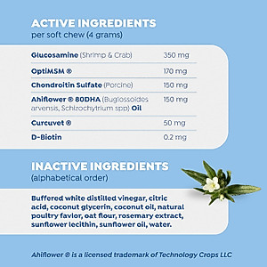 WagWell Mobility Chews – Vet Formulated Hip and Joint Supplement for Dogs - Natural Dog Joint Supplement with Glucosamine and MSM – Dog Joint Supplement for Large Breeds and Small Breeds, 60 Chews