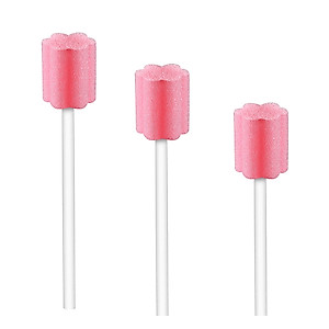 Disposable Untreated Oral Care Swabs, 250 Count (Pink+Plum)